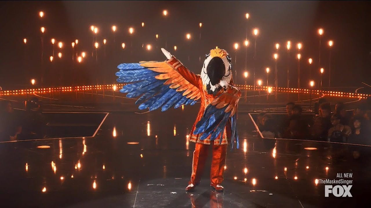 The Masked Singer 9 - Macaw sings Photograph by Ed Sheeran - YouTube