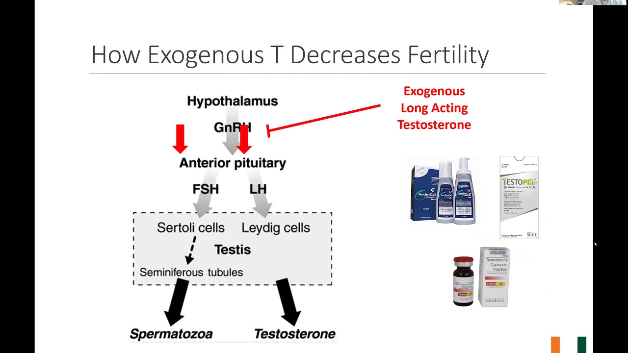 New Testosterone Nasal Gel (Natesto) Data- Interview with Dr Ramasamy ...