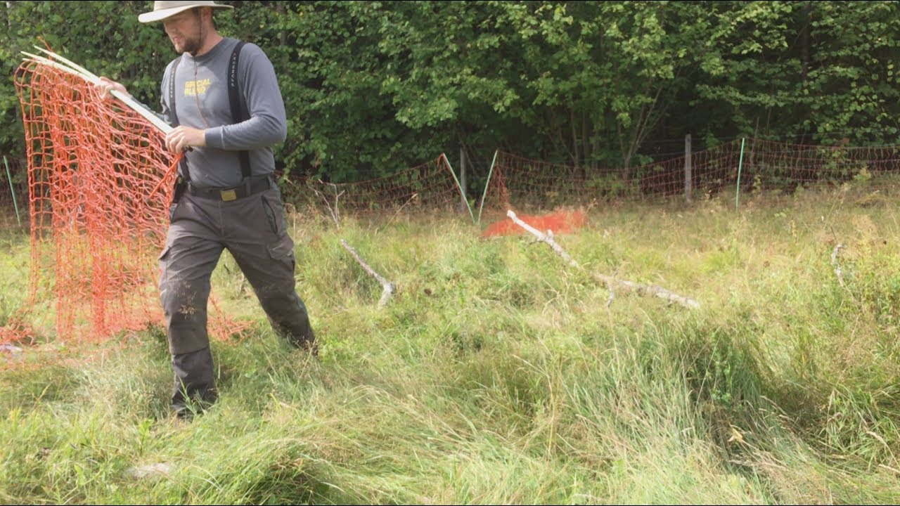 How To Improve Farmland And Earn Money (At The Same Time) - YouTube