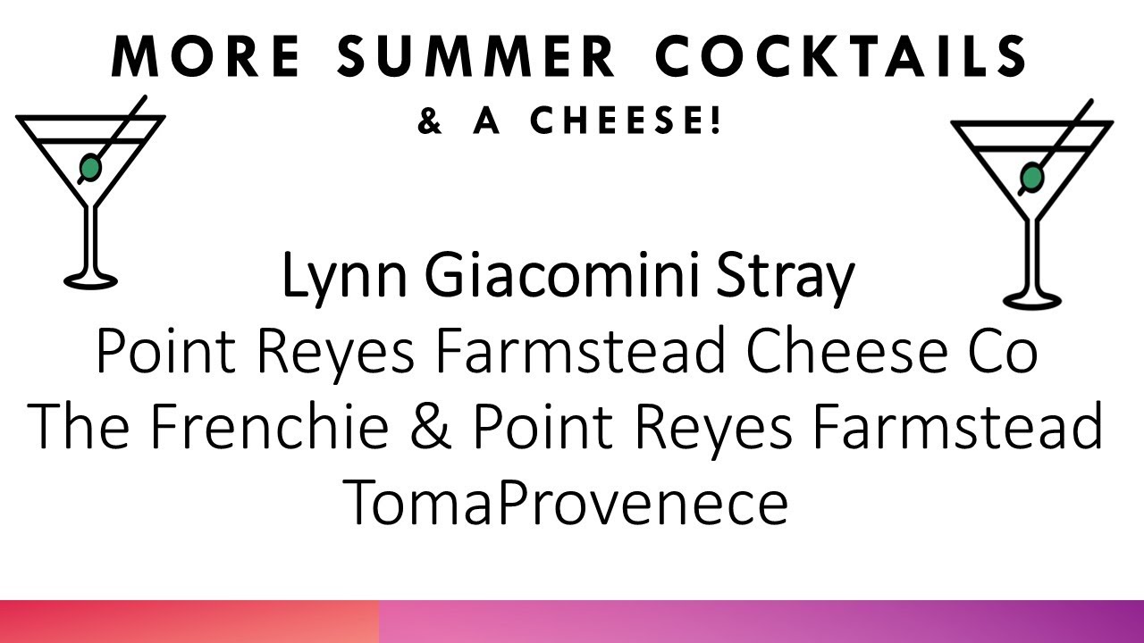 Episode 89.4 – Lynn Giacomini Stray The Frenchie - YouTube