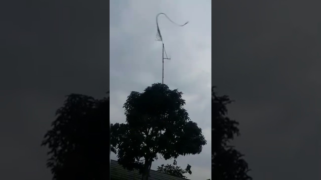 Kokoleceran perdana , angin kidul - YouTube