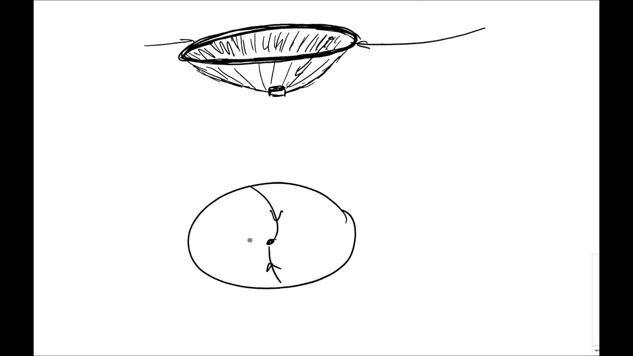 Periodic Solutions and Limit Cycles - YouTube