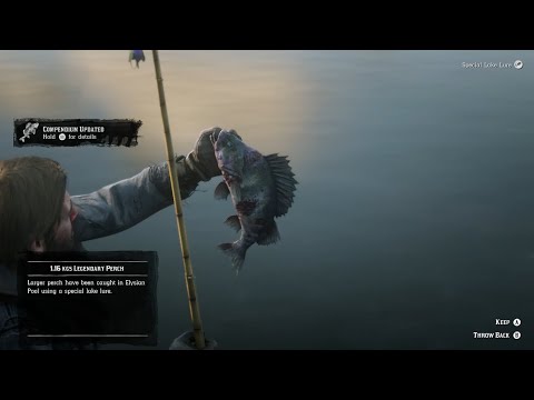 catching the legendary perch in #reddeadredemtion2 - YouTube