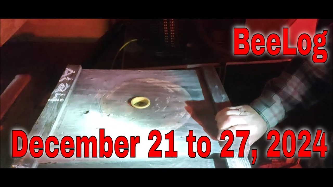 ⏱ BeeLog December 21 to 27-That Bee Man - YouTube