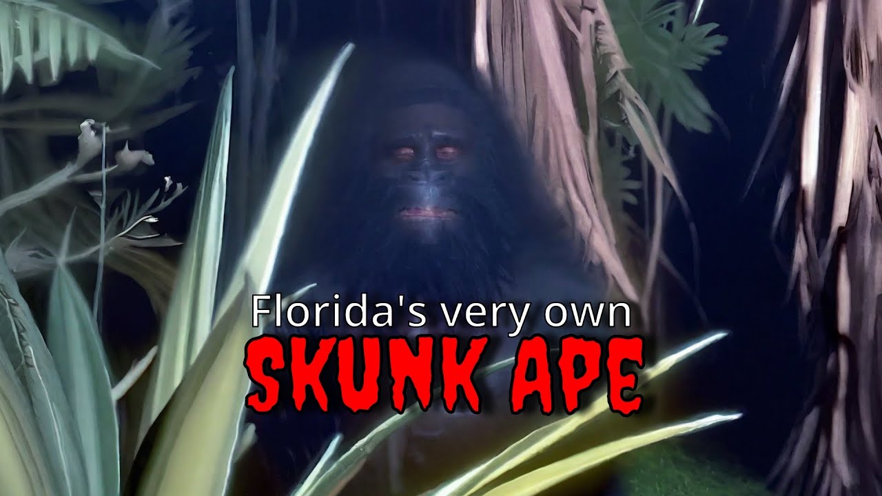 The Florida Skunk Ape: Myth, Legend, or Reality? - YouTube