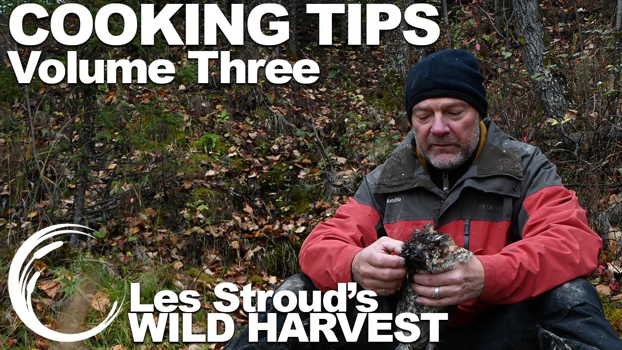 Tips from Chef Paul Rogalski For You. Enjoy! | Wild Harvest Cooking ...