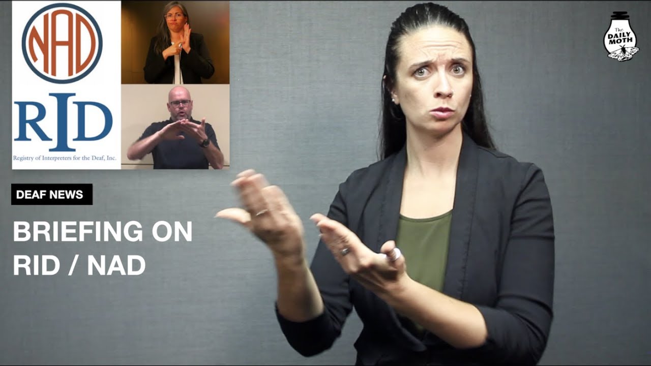 The Daily Moth 7-12-2018 - YouTube