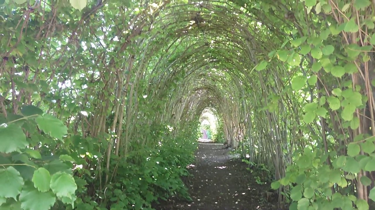 Late June in the Madingley Garden - YouTube