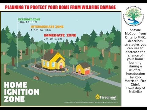 Planning to Protect Your Home from Being Damaged in a Wildfire - YouTube