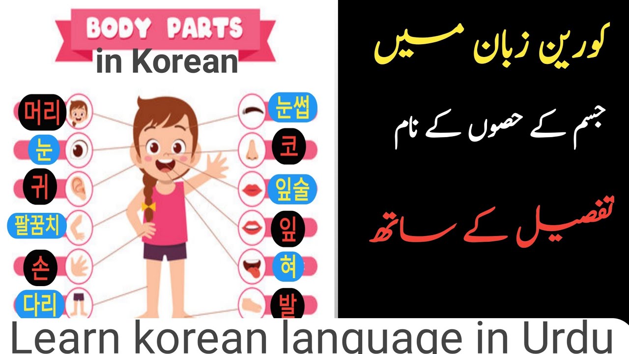 Name of body parts in Korean language class 6 - YouTube