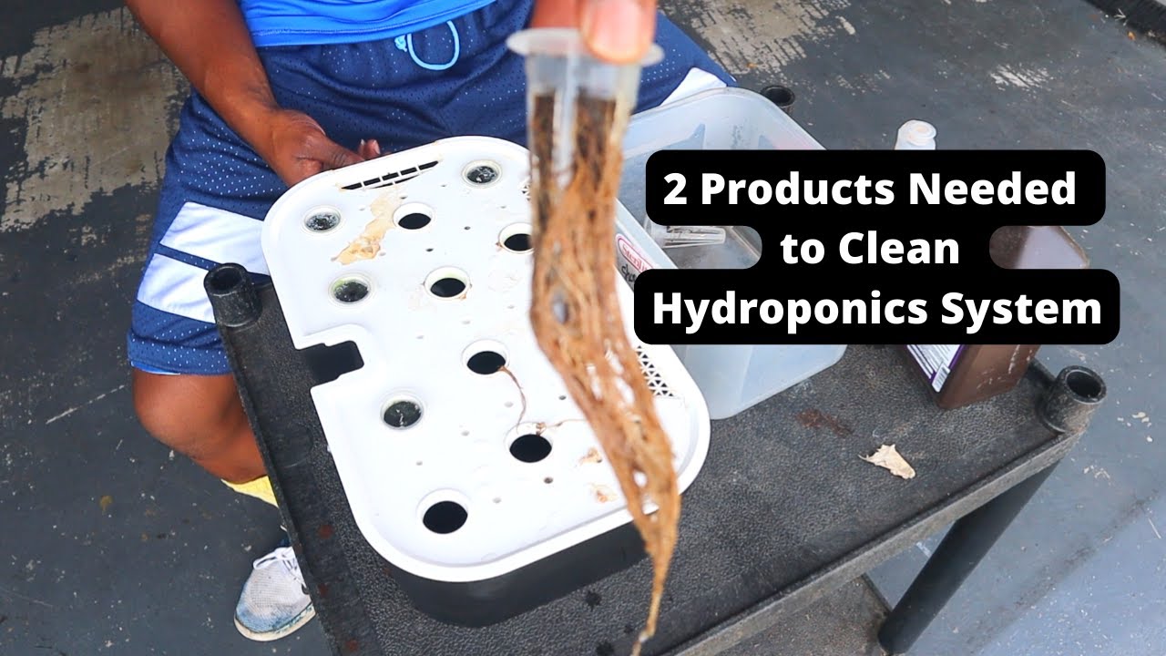 How to Clean Your Spiderfarm Hydroponics System Quick, Fast & Easy ...