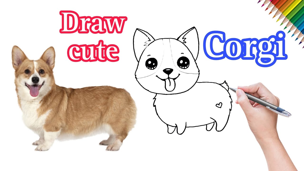 How To Draw A Cute CORGI DOG Clipart,To Draw step by step, DL cute ...