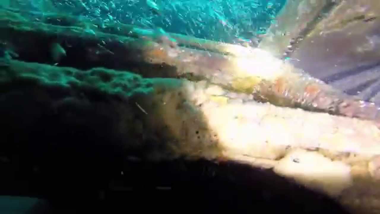 Diving ex HMAS Canberra dive wreck with commentary - Go Pro Black - YouTube