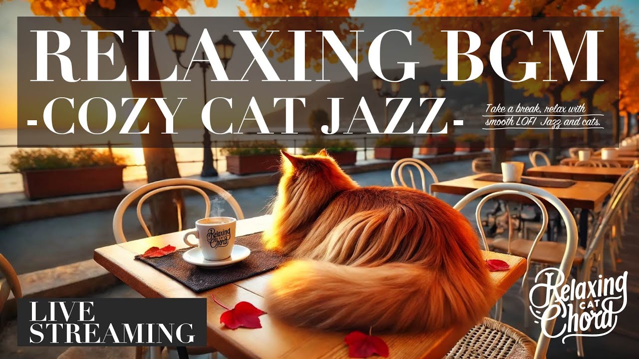Cozy Cat Jazz - Relaxing LOFI Jazz in a Cat Cafe Vibe | くつろぎ猫ジャズ - カフェ ...