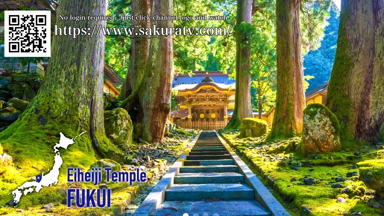 JAPAN opens finally! Sakura TV will show you another interesting area ...