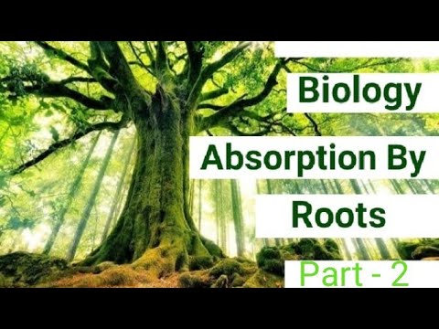 Unit-2, BIOLOGY ,Chapter - 4 ABSORPTION BY ROOTS, Class10 ICSE (Part ...