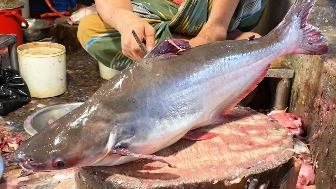Black Pangas Fish Cutting Fantastic Skills | 2$ Kg/ $20 Pangas Fish ...