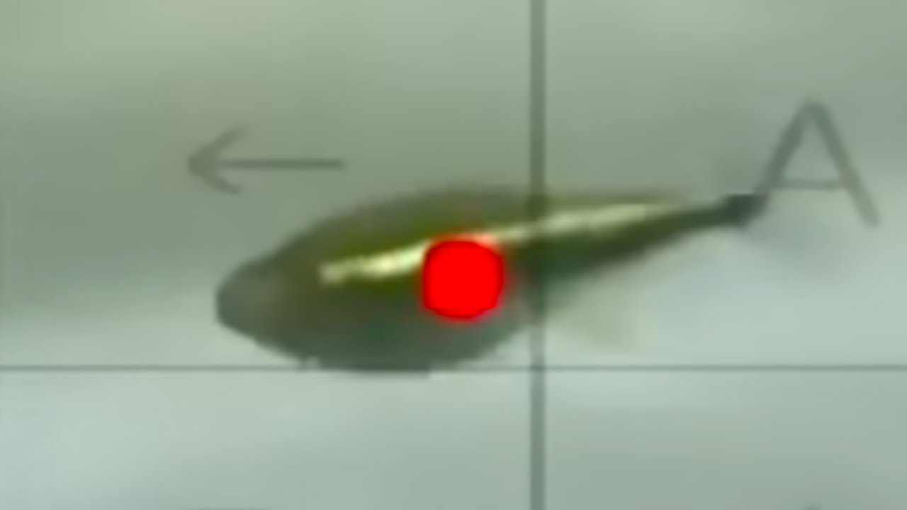 The Fish that beat Pokemon, just got in trouble - YouTube