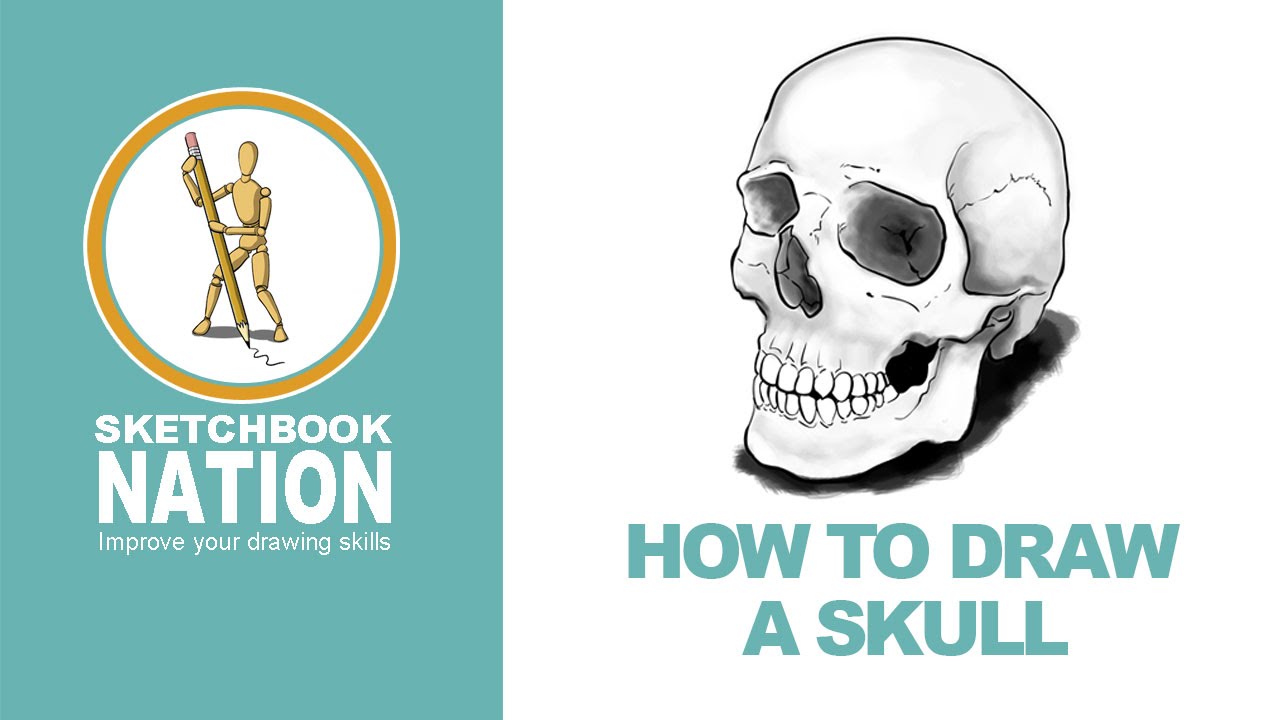 How to Draw a Realistic Skull - YouTube