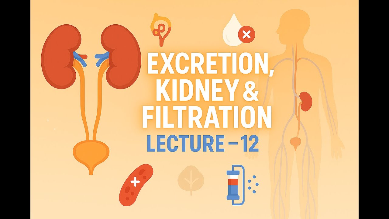 EXCRETION, Kidney & Filtration || Lecture - 12|| Life Process|| BIOLOGY ...
