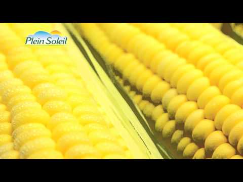 Plein Soleil - A wide variety of delicious sweet corns