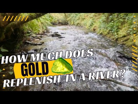How much does Gold replenish in a river? - YouTube