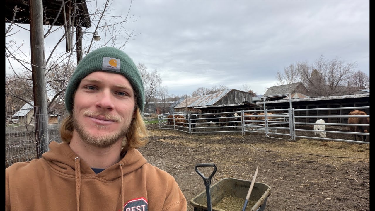 Chasing farm animals with my kids - YouTube