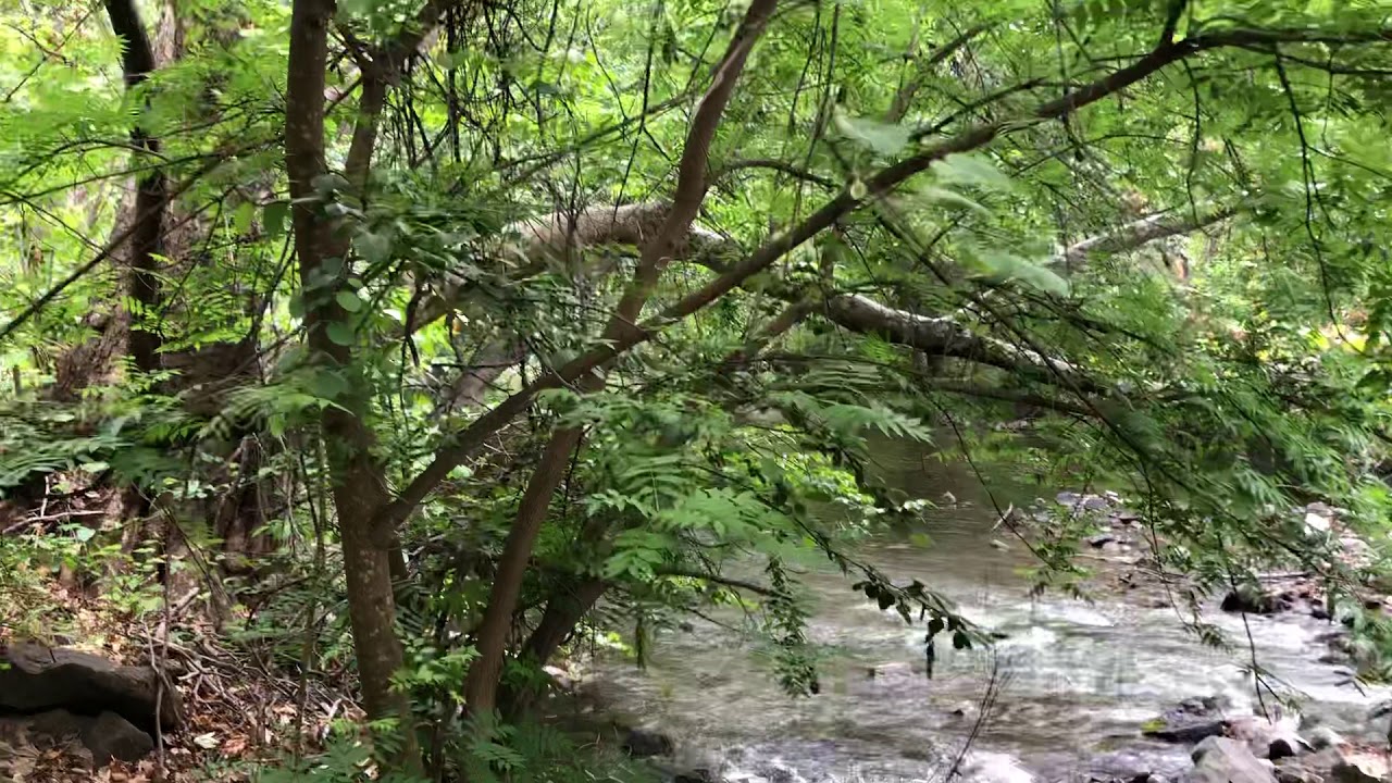 Chico 5 mile park - YouTube