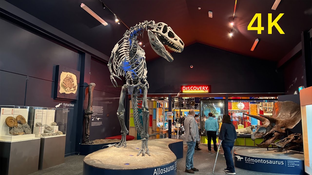 Canterbury Museum-Christchurch New Zealand. - YouTube