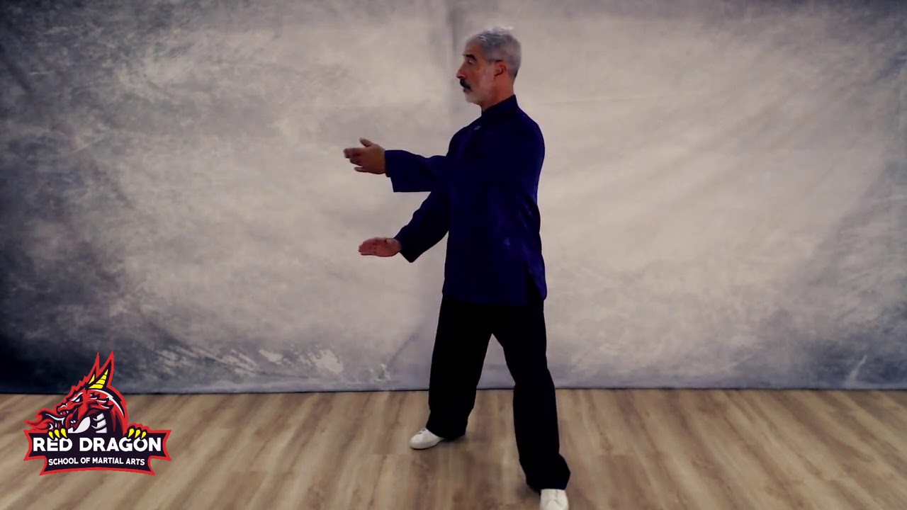 Understanding Ward off Left Yang Style Tai Chi - YouTube