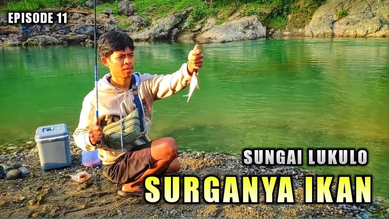Pesta Ikan Wader di Sungai Lukulo !! | Microfishing Indonesia - YouTube