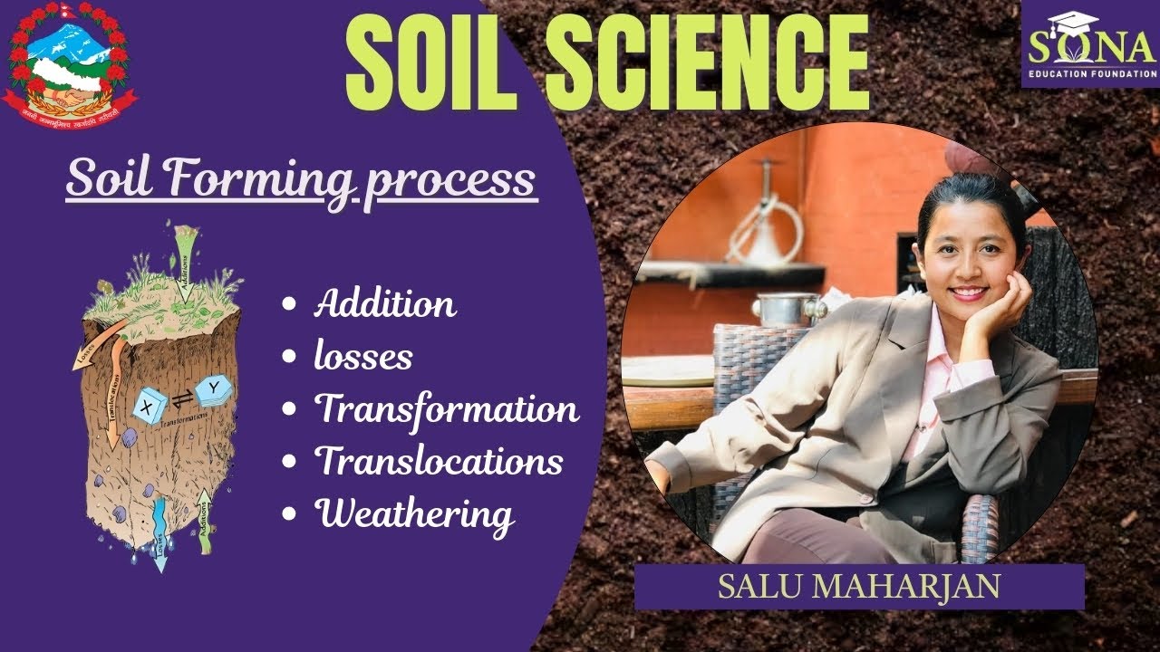 SOIL FORMING PROCESS | ADDITION , LOSSES, TRANSFORMATION ...