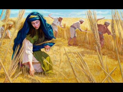 Ruth 2 - Ruth meets Boaz in the Grain Field - YouTube