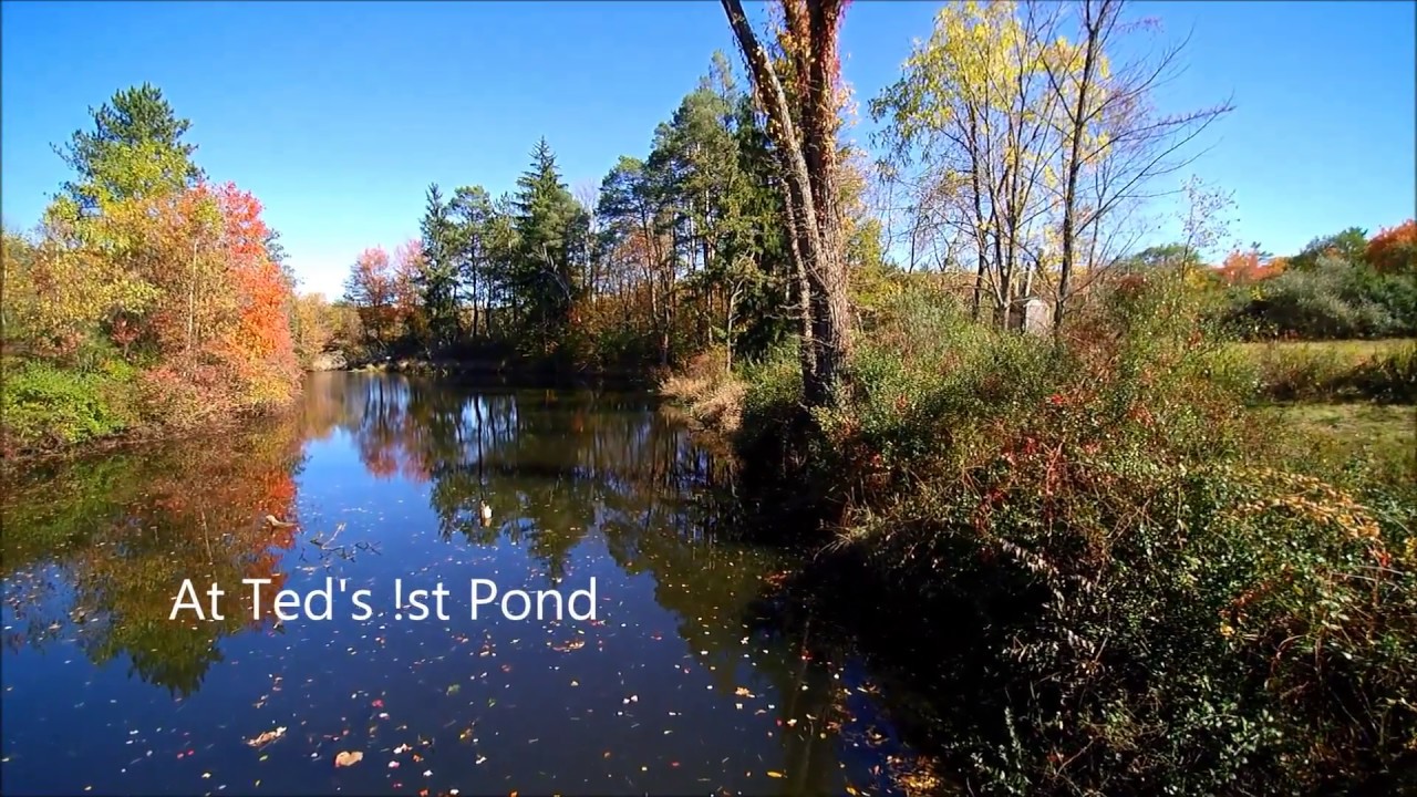 At Ted's 1st Pond - YouTube