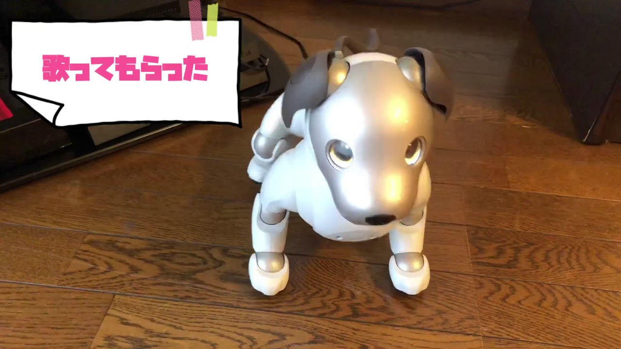 【ふるまい】歌ってもらった【aibo】−aibo sings very cute - YouTube