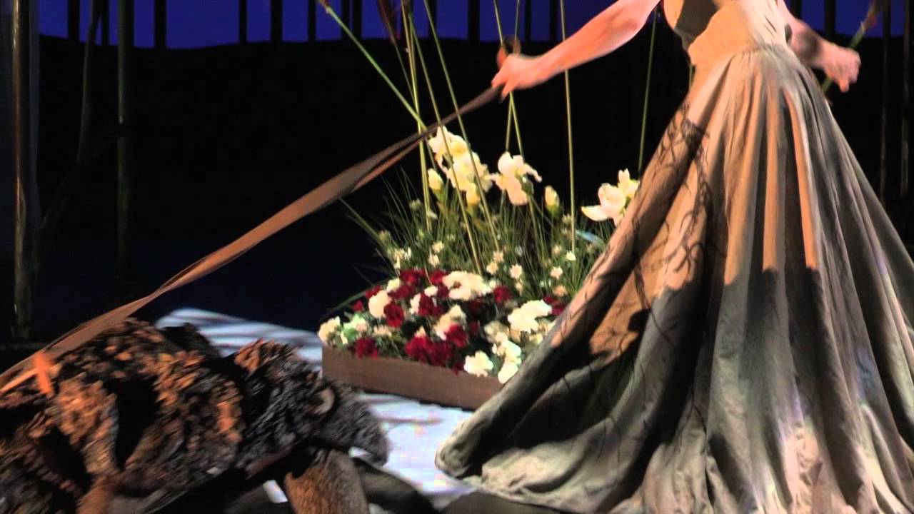 balletLORENT's Rapunzel Promo Video - YouTube