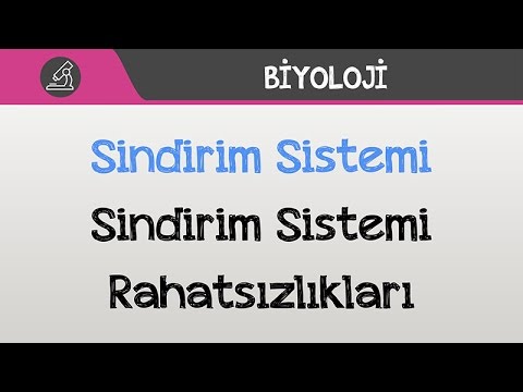 Sindirim Sistemi - Sindirim Sistemi Rahatsızlıkları