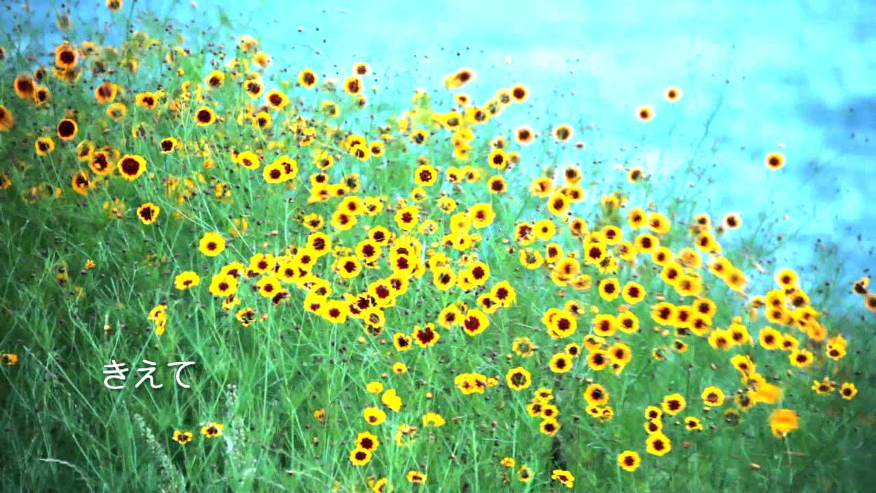 "June Wind" with Words June 23, 2011 Tamagawa, Tokyo - YouTube