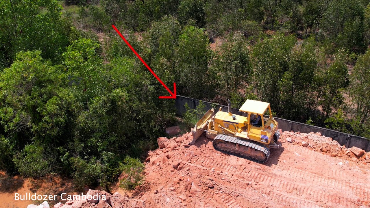 CLEARING FOREST LAND NEAR THE FENCE AS A NON-ECONOMIC AREA TO RESTORE ...