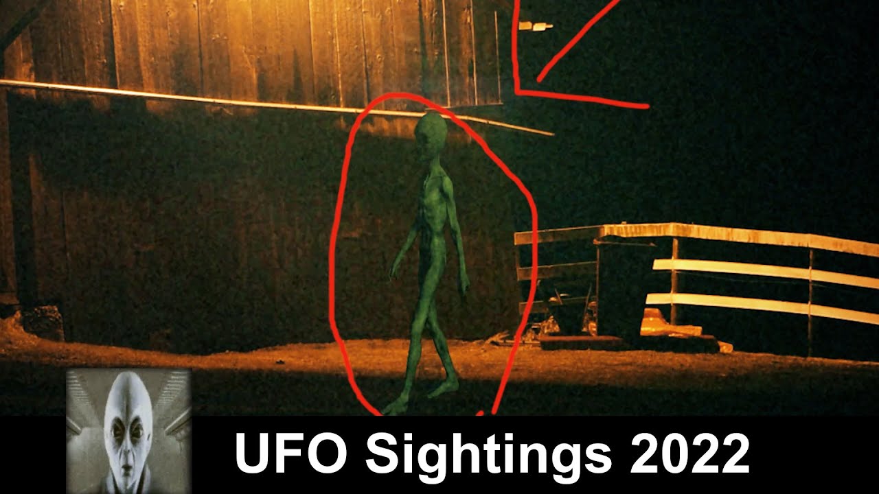 Space Alien Spotted On A Farm Proof Positive - YouTube