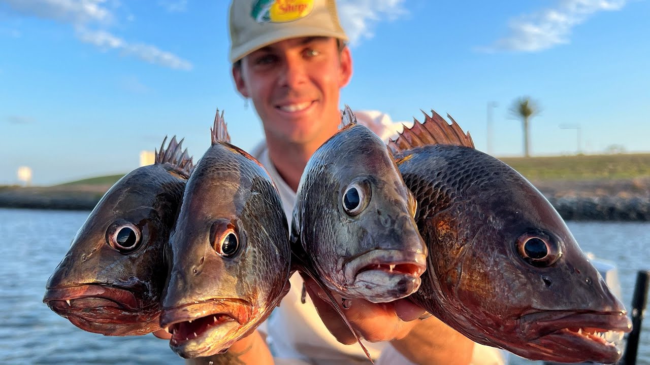 Crazy Mangrove Jack Fishing / Gold Coast - YouTube