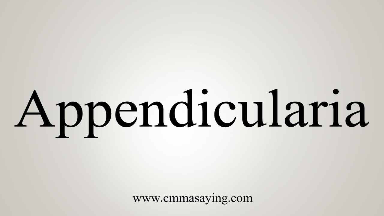How To Say Appendicularia - YouTube