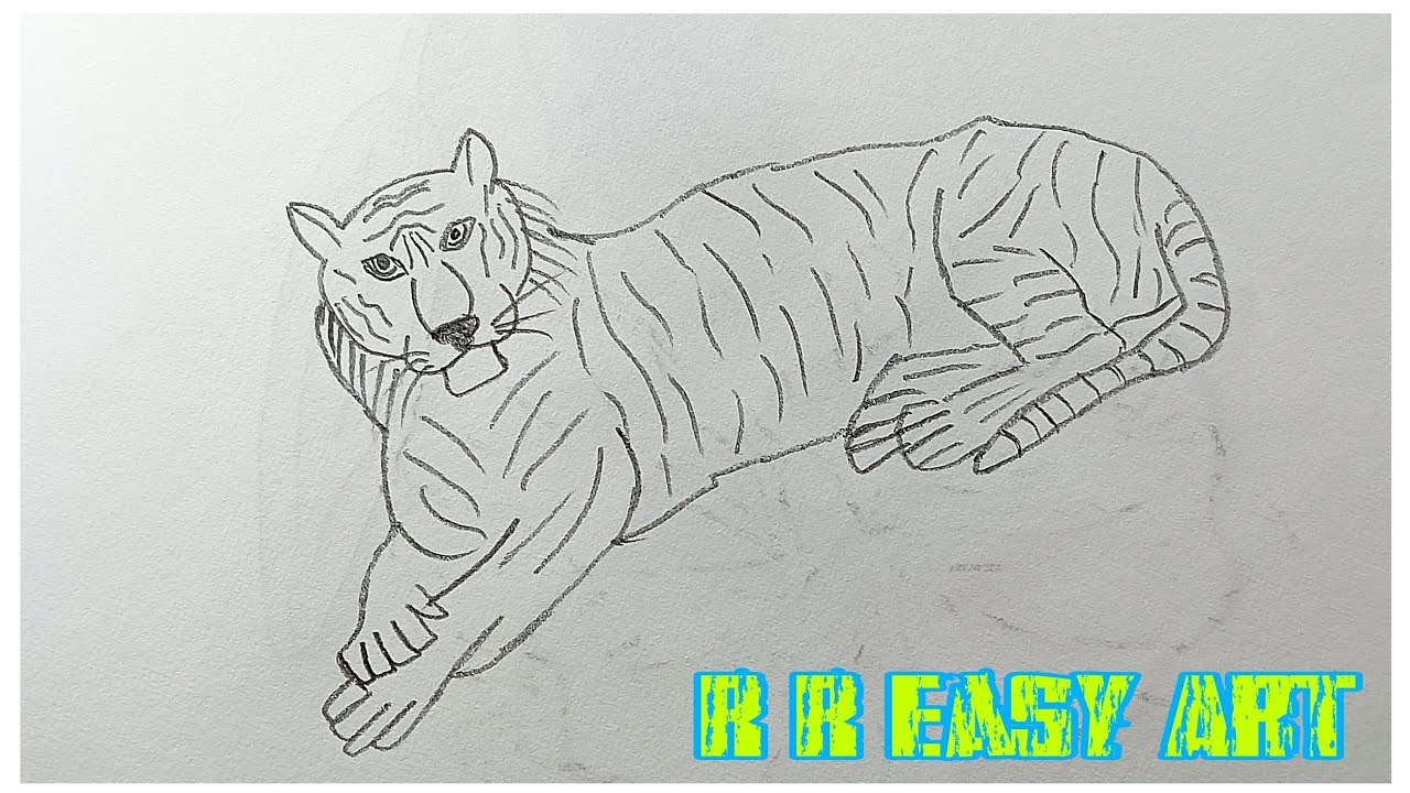 Easy drawing tiger | Tiger drawing step by step | How to draw tiger ...
