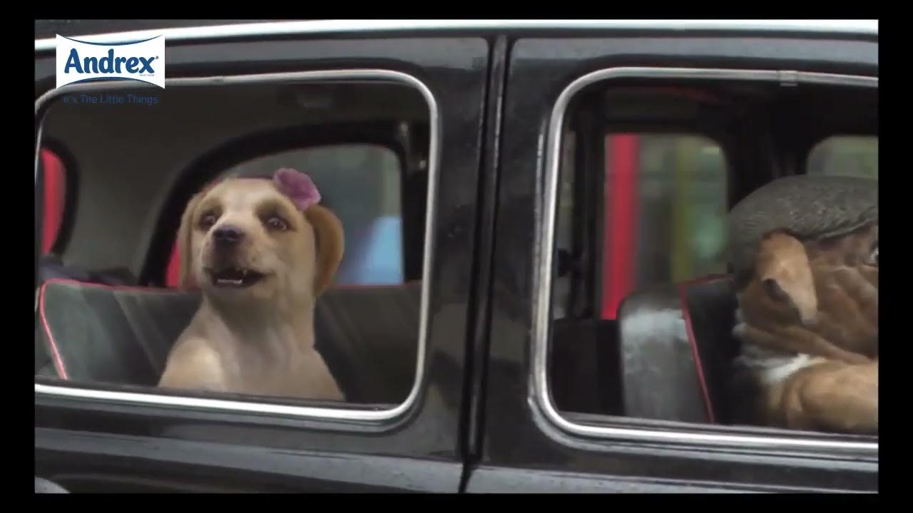 The Andrex advert It's the little things - YouTube