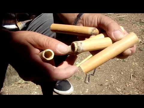 Mey ve ney kamışı kaç Aylıkken kesilir ve hangi cins kamıştan yapılır