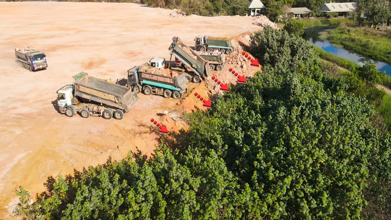 Best Compilation Video Machinery Equipment In Forestry Clearing And ...