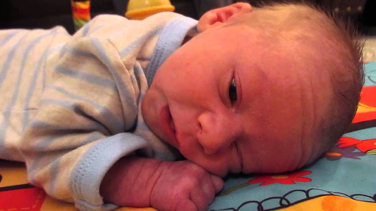 Joey - 4 weeks old Tummy Time - YouTube