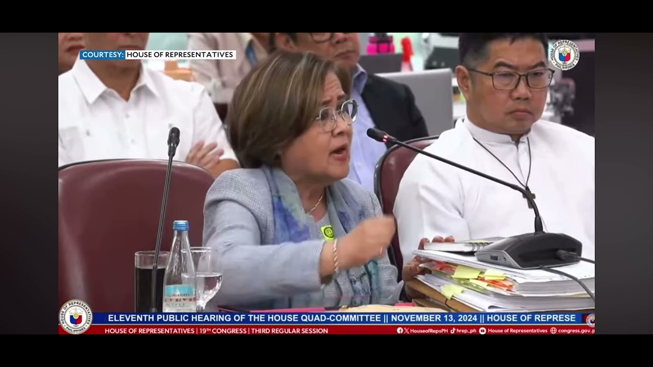 Hon. Leila Delima Answers Rep Dan Fernandez; "Are You The Mother of All ...