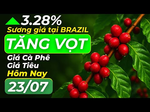 Giá Cà Phê Hôm Nay 23/7 TĂNG VỌT | Brazil Cảnh Báo SƯƠNG GIÁ, Robusta BỨT PHÁ Trở Lại?