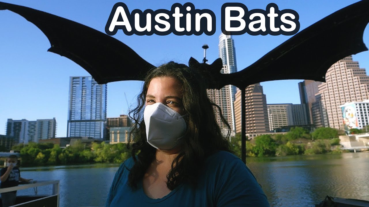 LARGEST URBAN BAT COLONY IN THE WORLD - YouTube